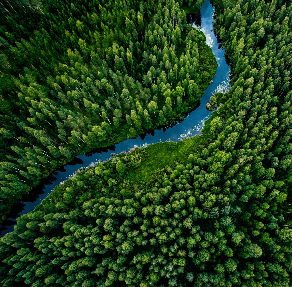 essence & CATRICE - Willkommen in unserer Welt! - cosnova